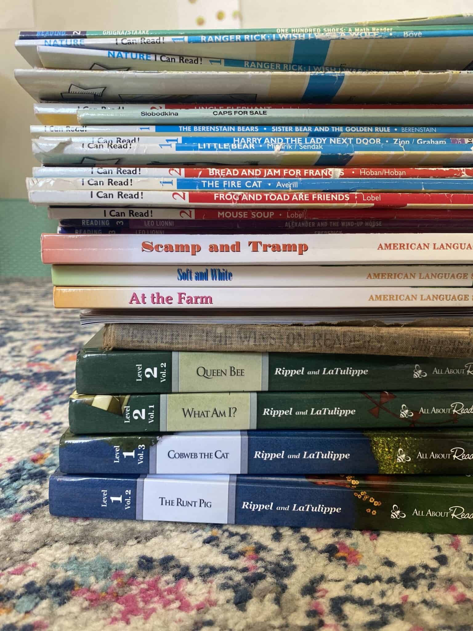 50+ Beginning Readers Books You & Your Child Will Actually Enjoy