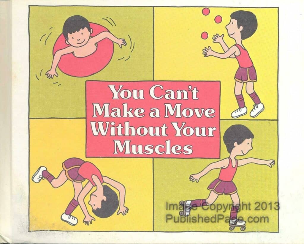 11 Picture Books About the Human Body for Kids - Musical Memory