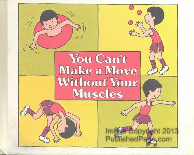 11 Picture Books About the Human Body for Kids - Musical Memory