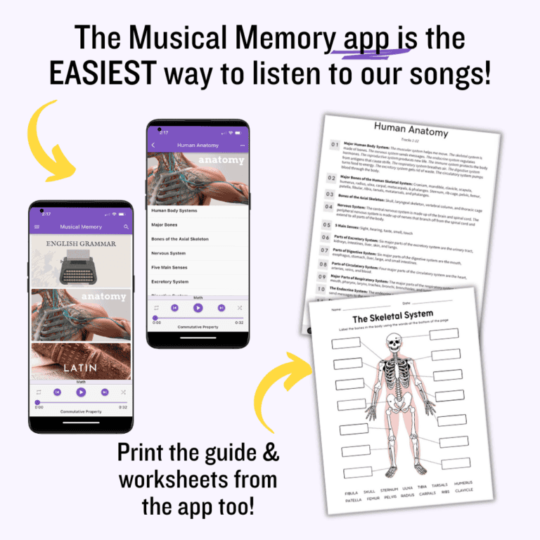 11 Picture Books About the Human Body for Kids - Musical Memory